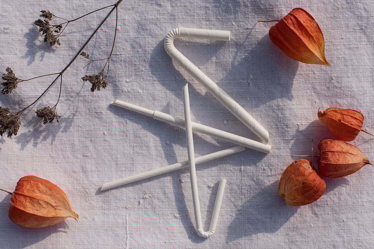 SIG India introduces sustainable & recyclable paper straws to reduce ...