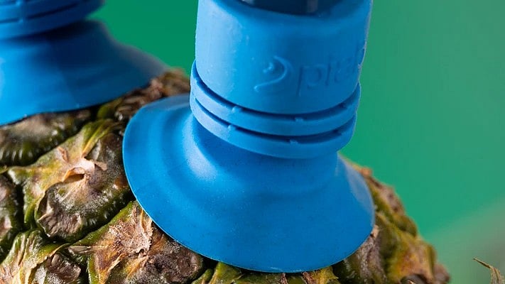 A gentle grip on any fruit from avocado to zucchini with Piab’s new ...