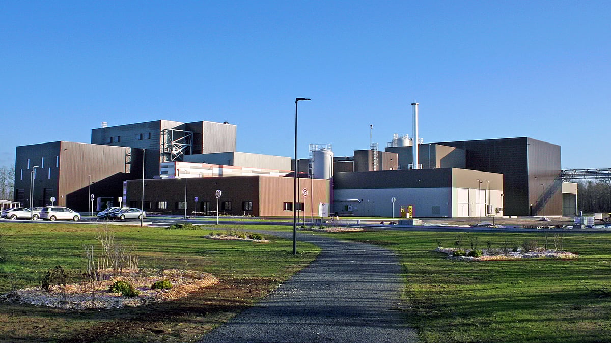 Mastering the value chain of plant-based beverages