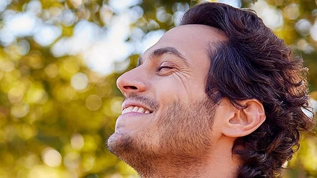 New study shows prebiotic chicory root fiber improves mood by ...