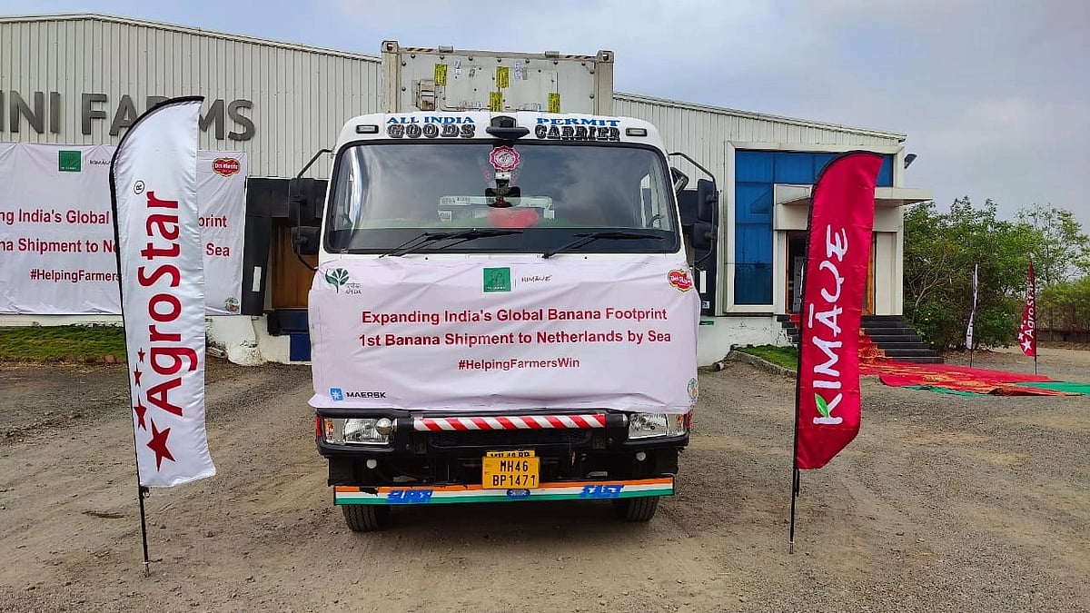 APEDA facilitates export of first trial shipment of banana to The ...