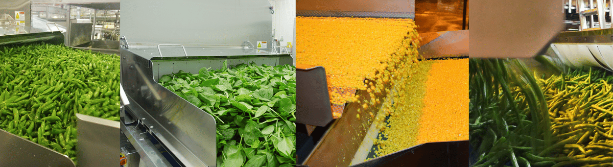 The CoolSteam Blancher: A versatile and efficient solution for ...