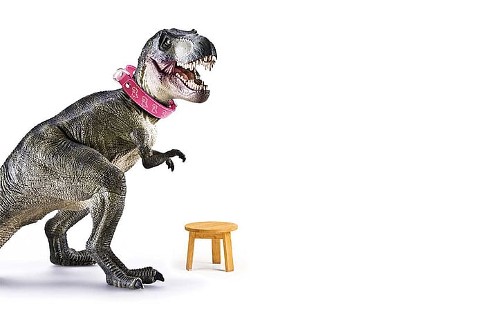 Fortune India: Business News, Strategy, Finance and Corporate Insight