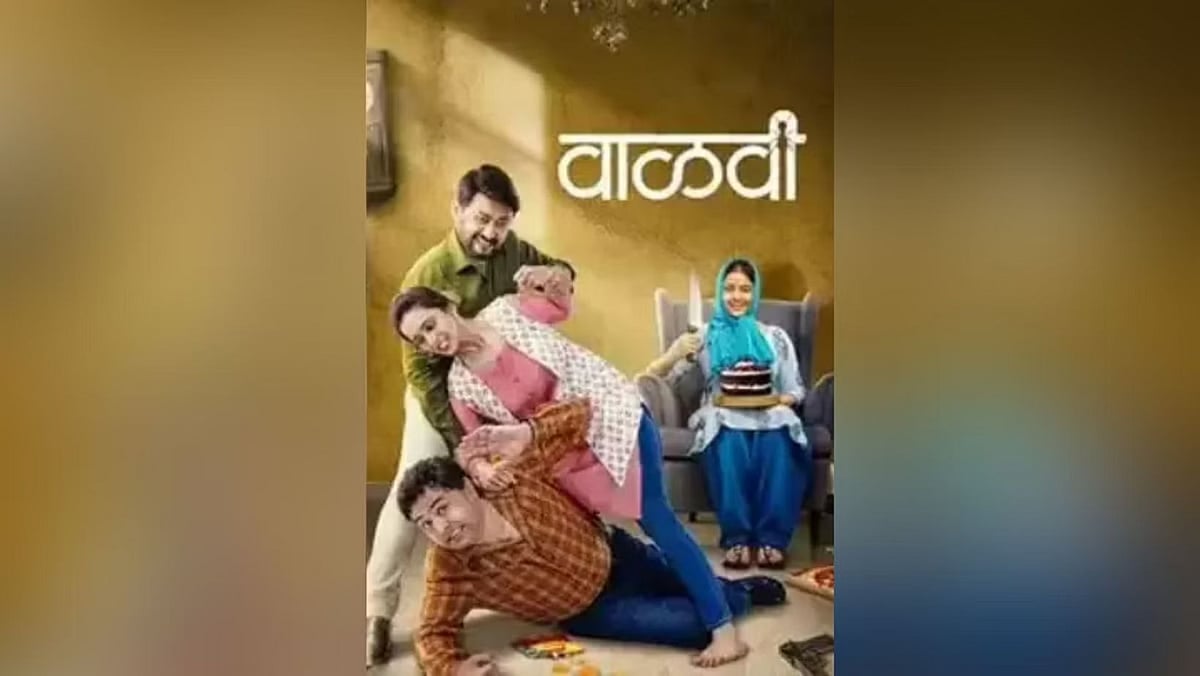 'वाळवी'च्या यशानंतर दिग्दर्शकाने केली मोठी घोषणा; म्हणाला...