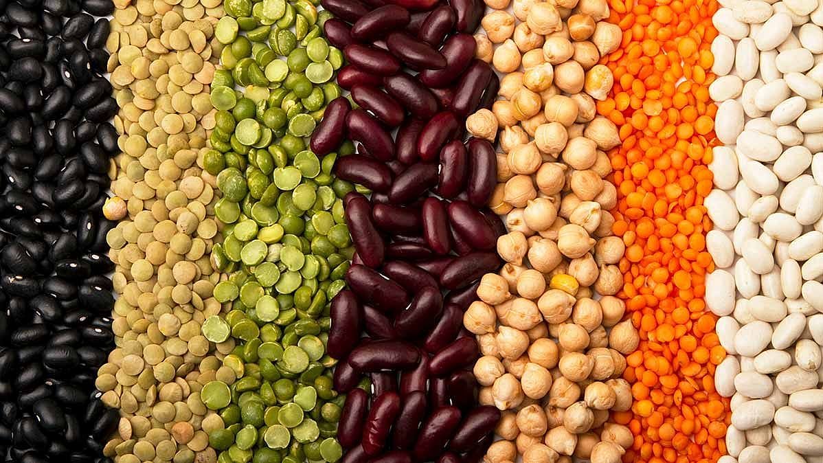 World Pulses day: History, Significance, importance, nutrition value ...