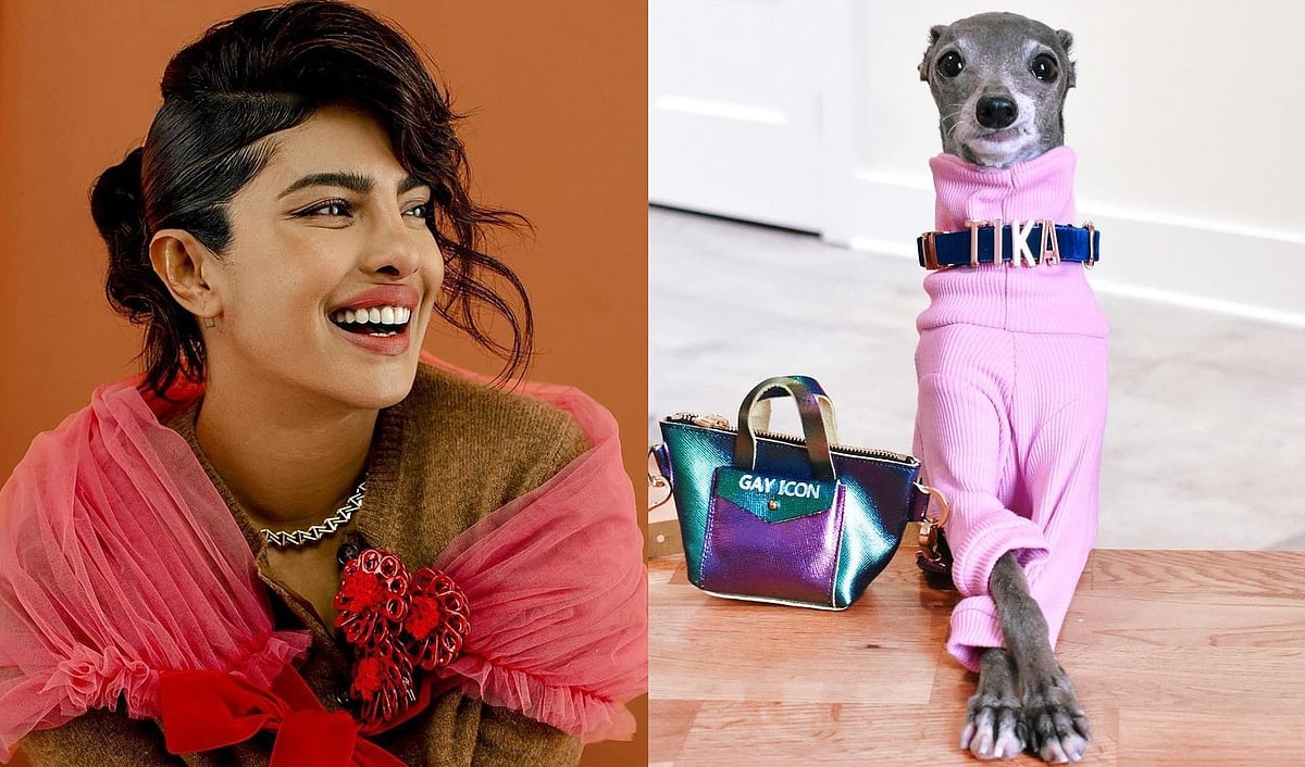 Tika Starsessions Show art stico en vivo que tiene como fin promover ...