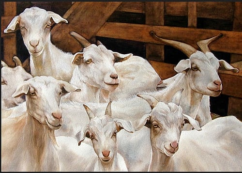 Nankai University researchers in China conduct this unique experiment ...