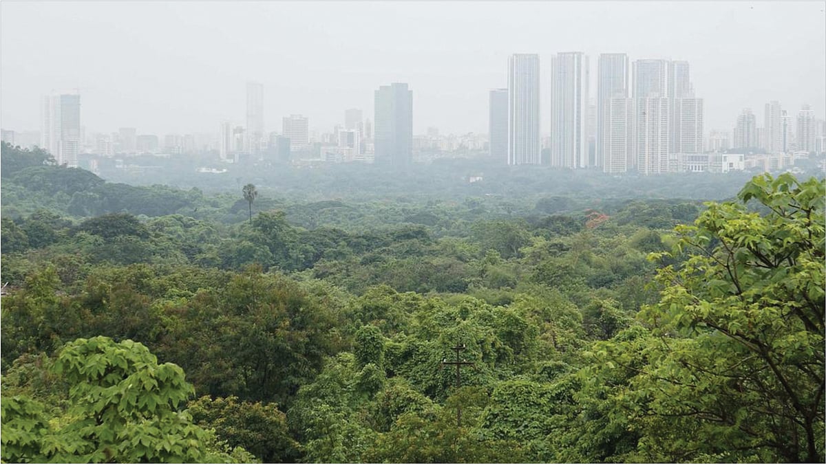 Official map of Aarey forest out: Mumbai becomes first megacity in ...