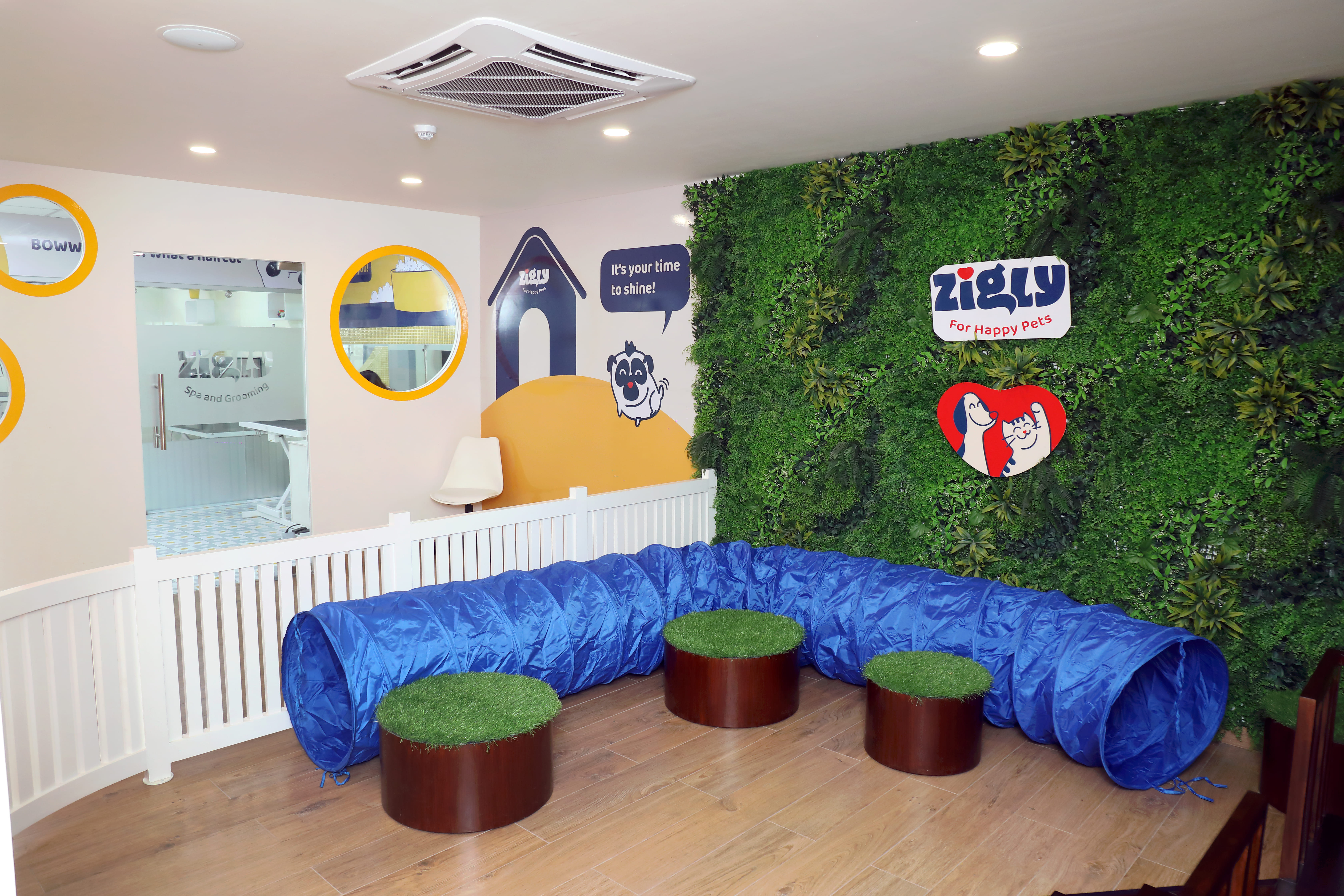 Petcare brand Ziggly to offer free online vet consultation