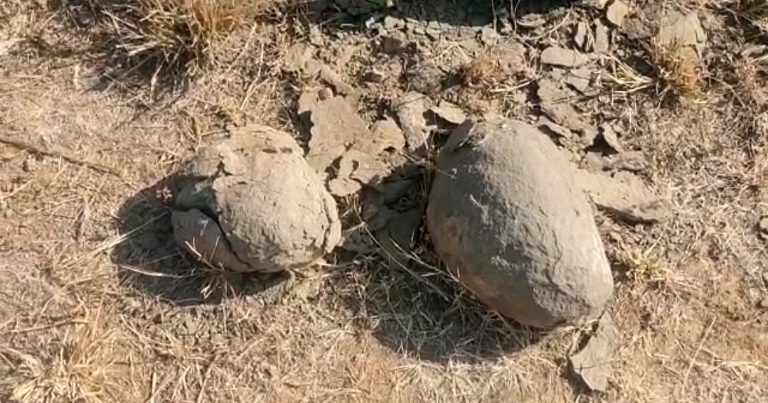 Madhya Pradesh: Rare dinosaur nests, titanosaurs eggs found in Narmada ...