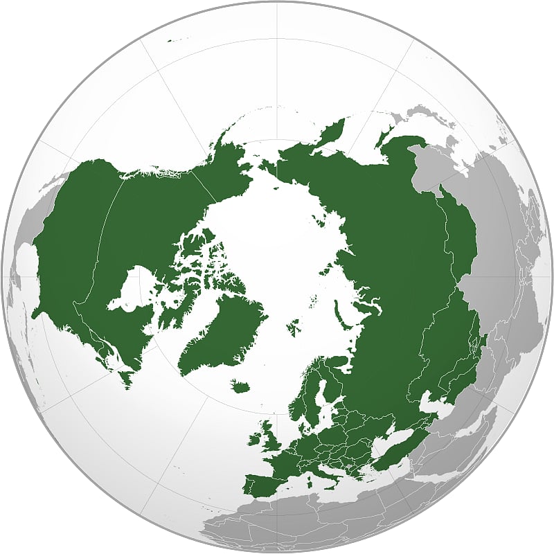 Russia - Ukraine War: OSCE says 'investigating war crimes' after ...