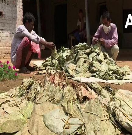 Bhopal: Bidi biz sees southward trend, so does tendu patta collection