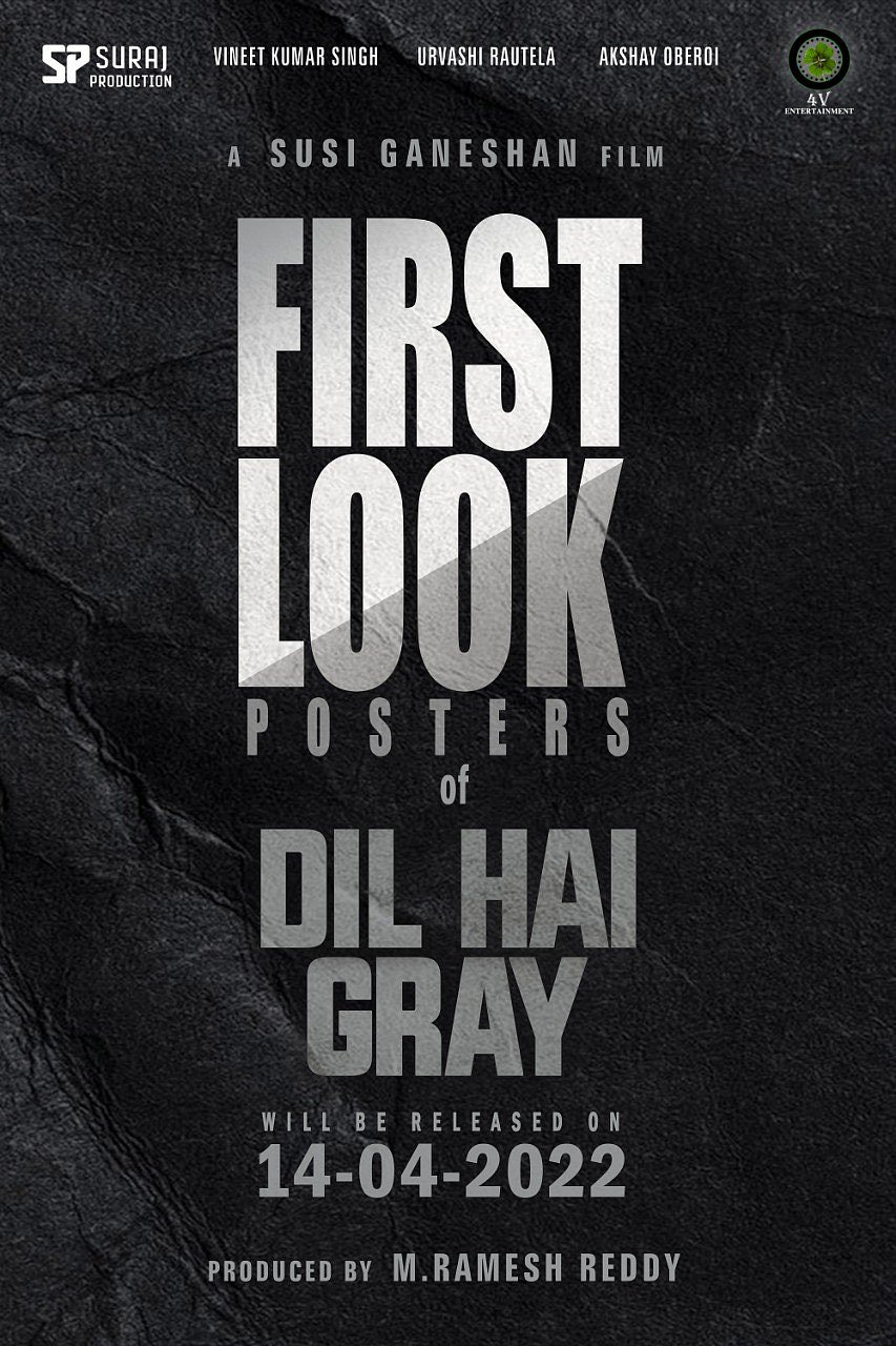 EXCLUSIVE! Akshay Oberoi's upcoming film Dil Hai Gray to release on ...