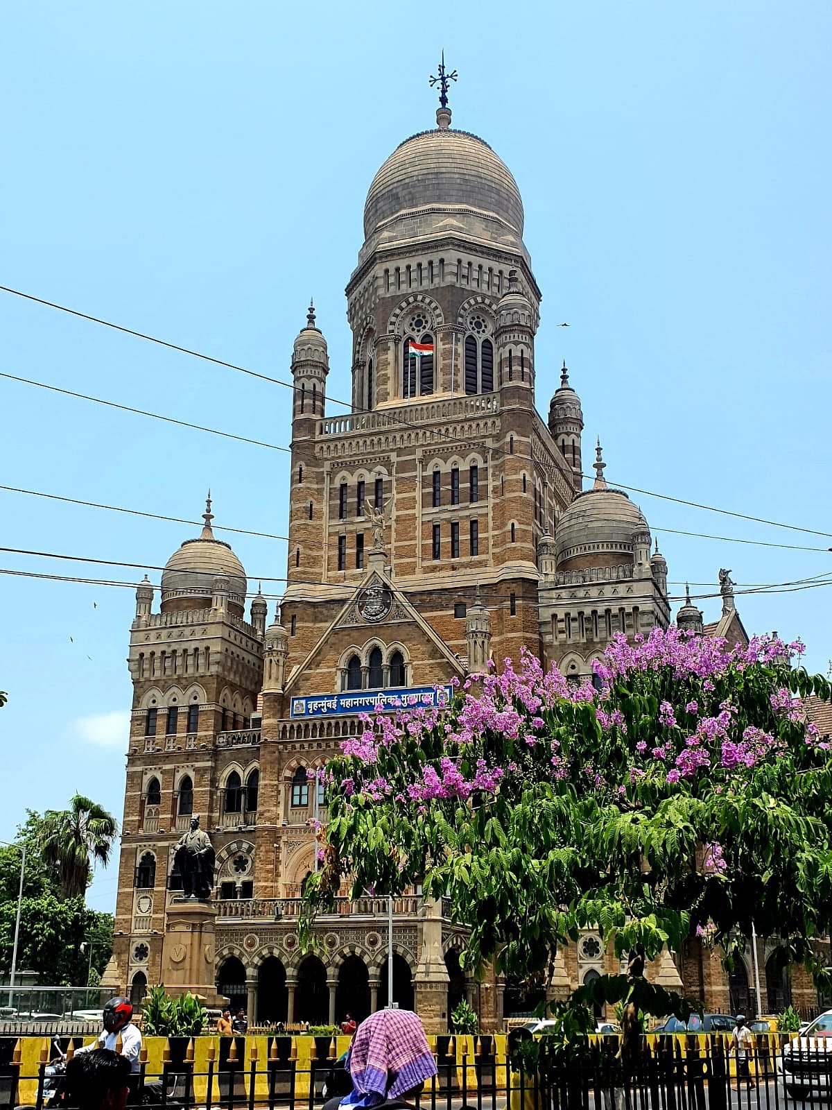 State flower graces Mumbai as over 6,000 trees blossom