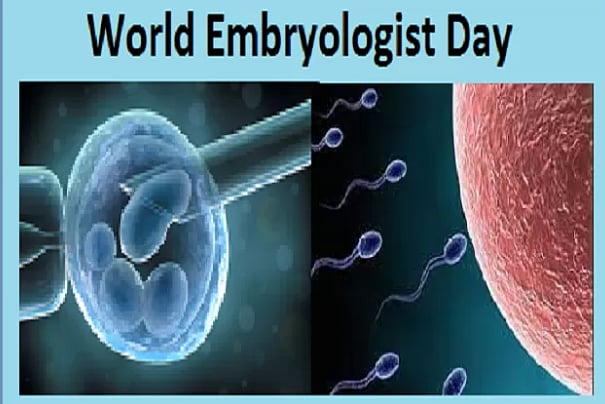 World Embryologist Day 2022: Date, quotes and extra - tictok.casa