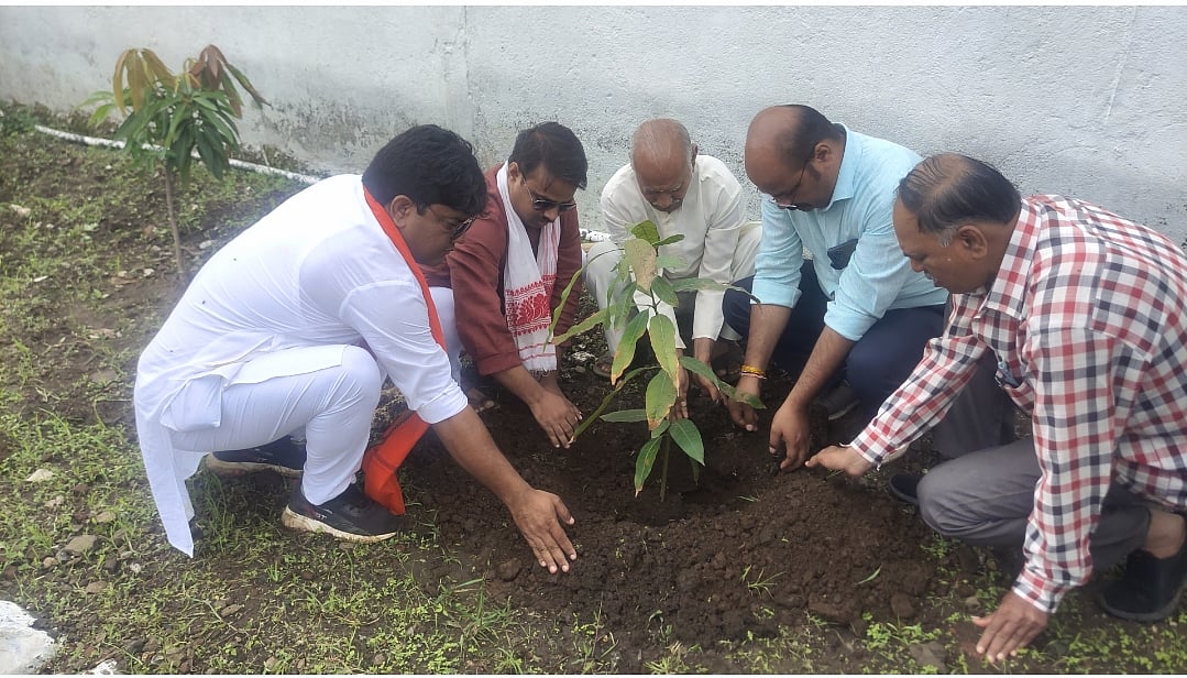 Multai: Plantation drives organised to mark Maa Taapti Janmotsav