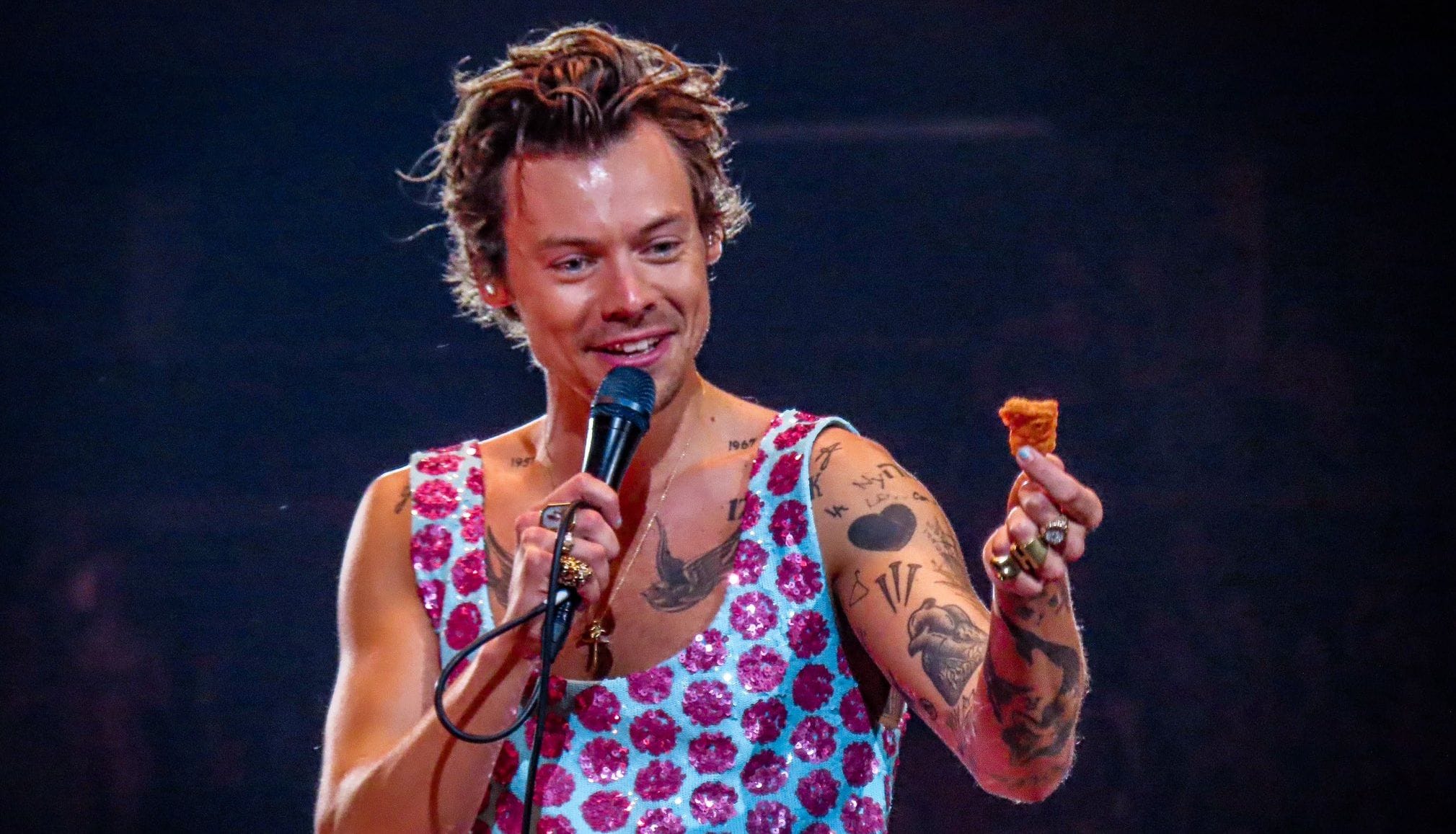 Watch: Harry Styles pelted with chicken nuggets during his Madison ...