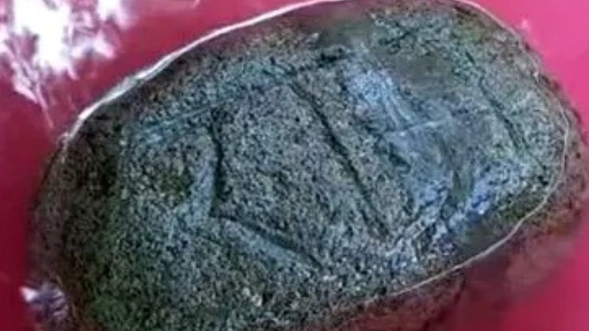 Uttar Pradesh: 'Ram' stone floats in Isan river, reminds people Ram ...