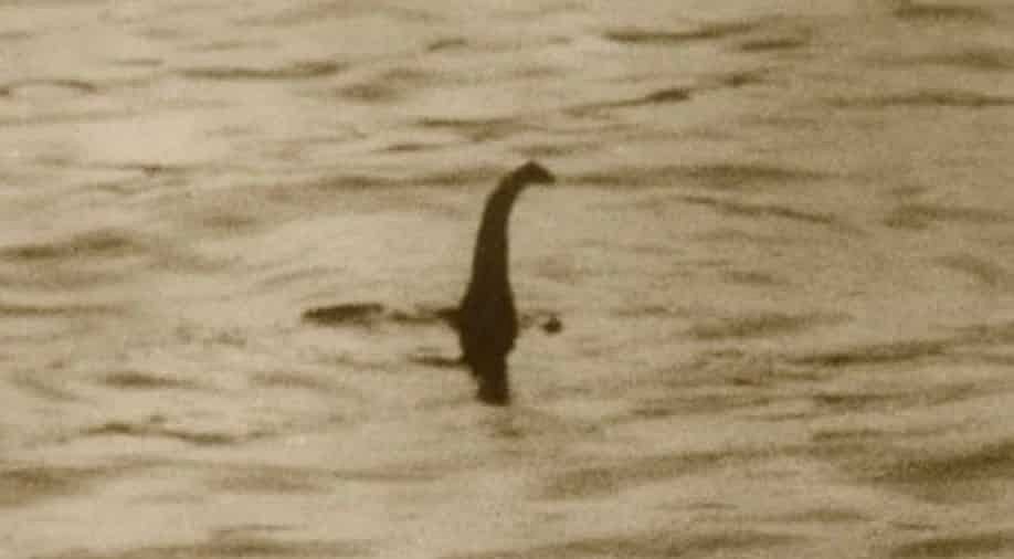 Loch Ness Monster? Giant eel-like creature spotted in viral video; watch
