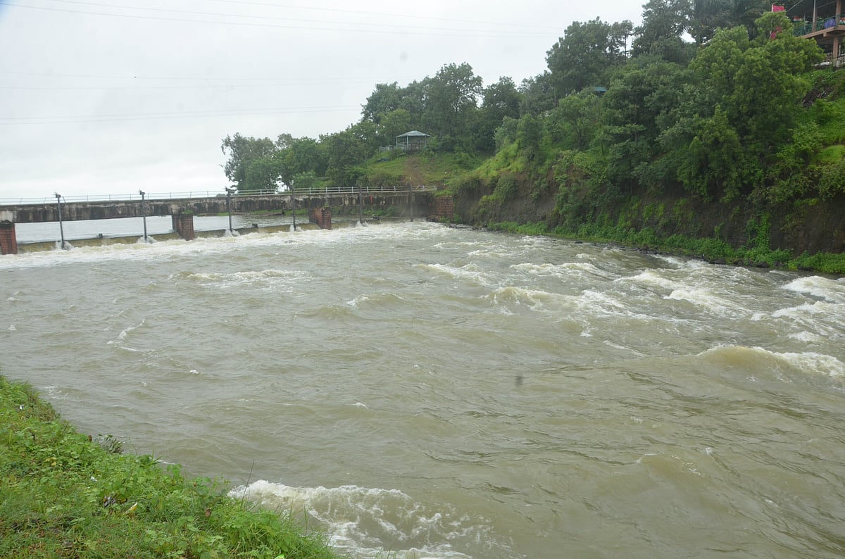 Bhopal: With dams brimming, MP farmers hopeful of good rabi season