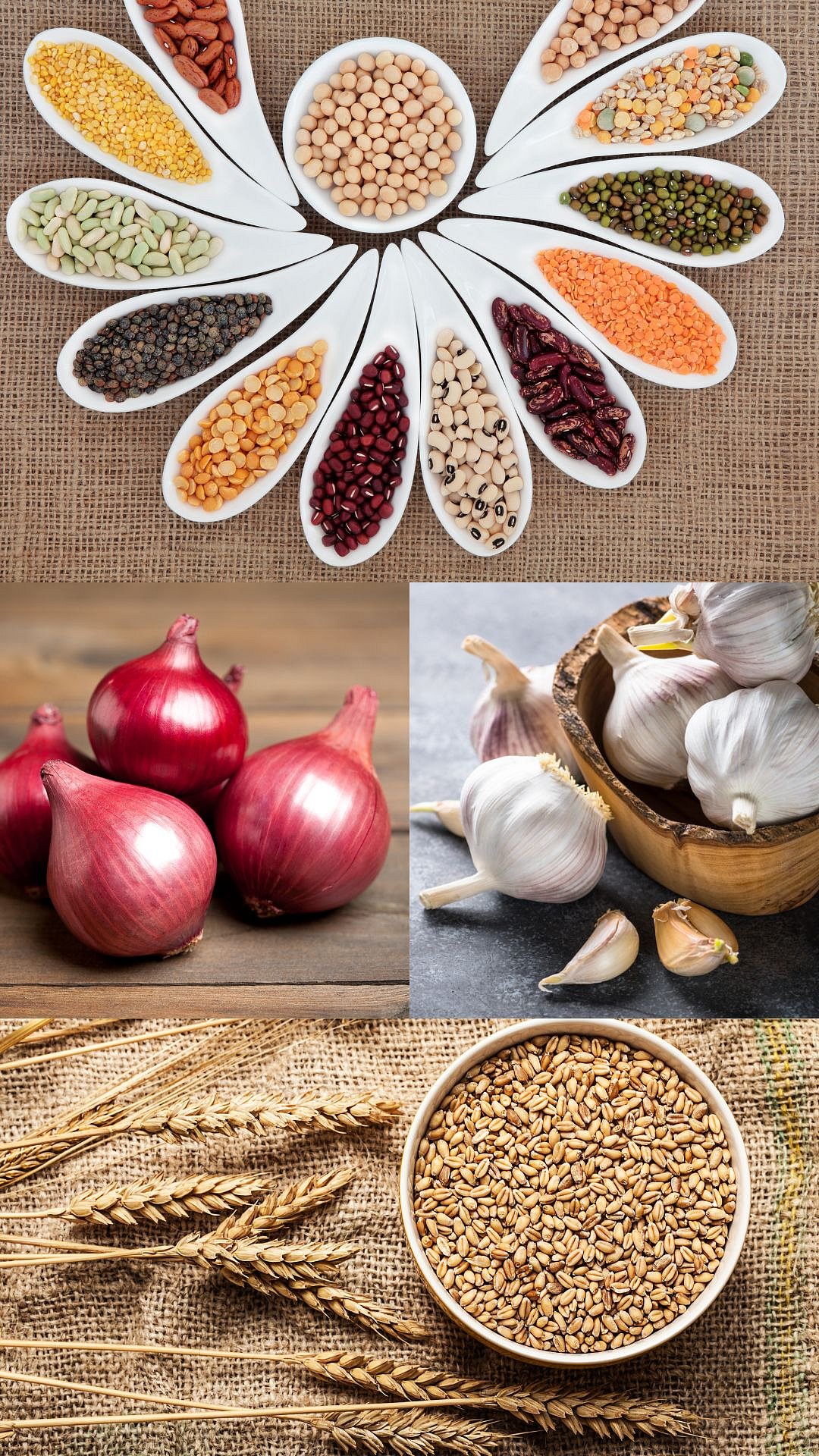 Pitru Paksha 2023: Avoid Eating These During The 16-day Shradh Period