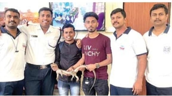 Navi Mumbai: Punarvasu Foundation rescues monitor lizard in Belapur