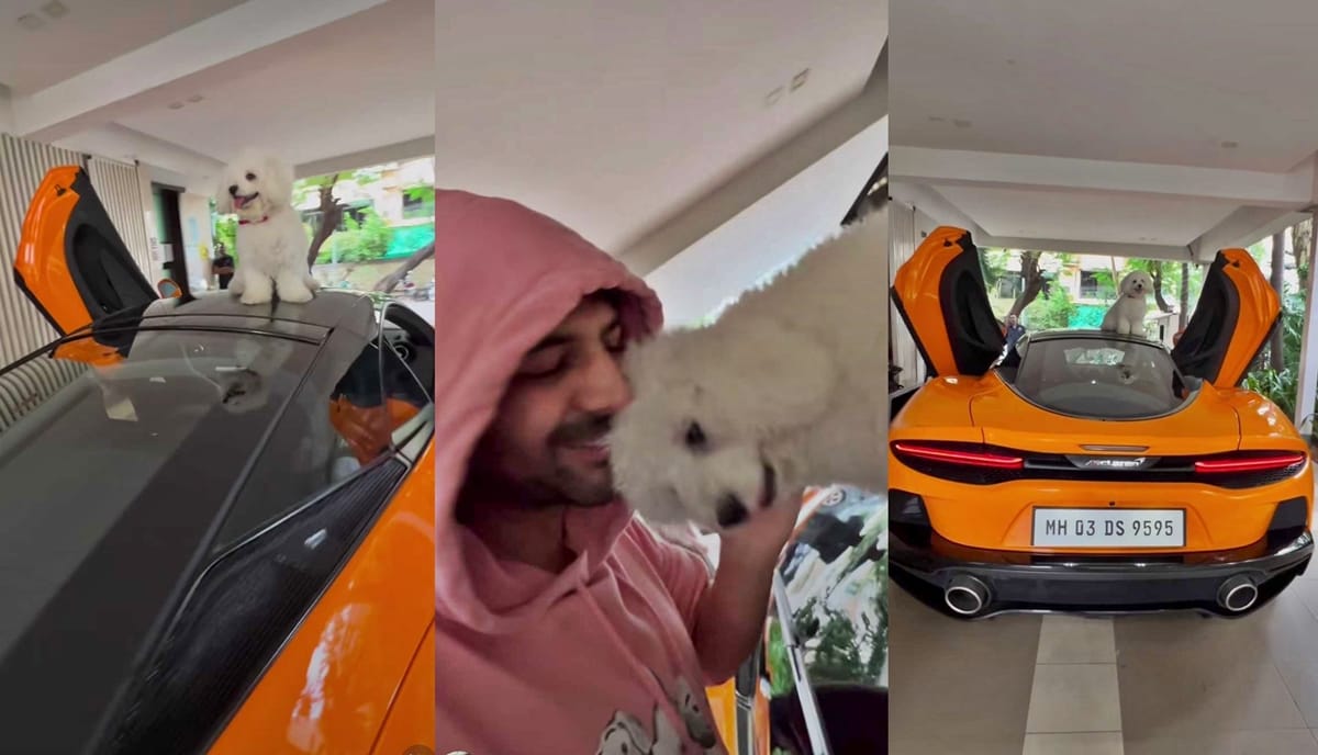 Watch: Kartik Aaryan's dog Katori sits on the rooftop of his Rs 4.7 ...