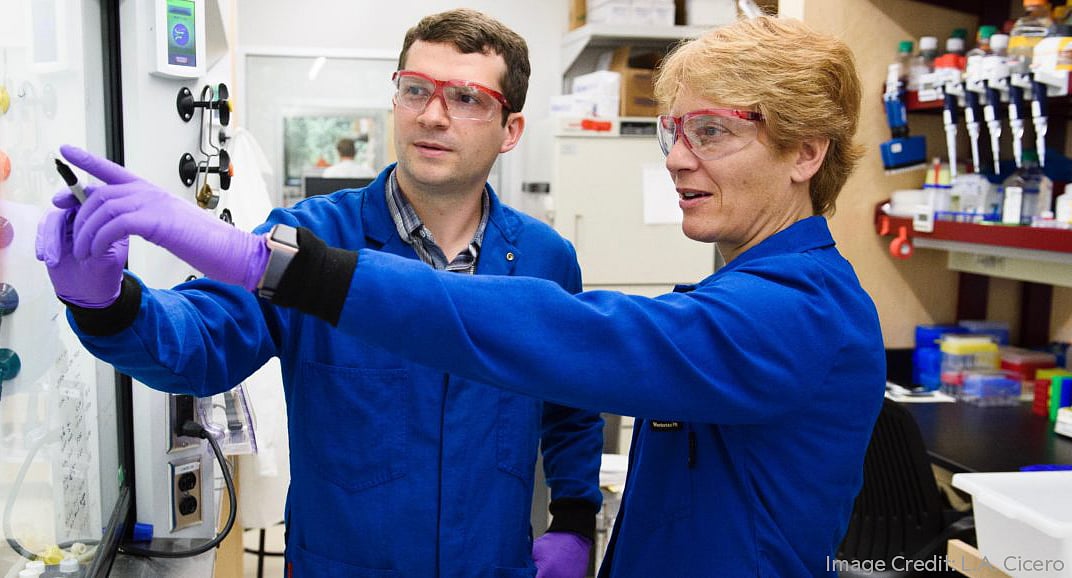 What is 'click chemistry', which won trio of scientists the Nobel Prize?