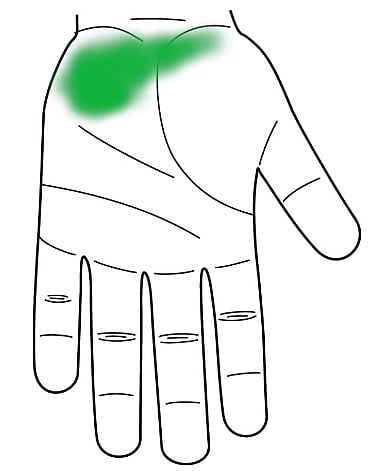 Simple and easy Sujok Therapy tricks for fatty liver