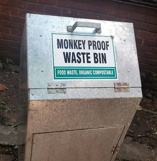 For IIT Madras, waste collection turns into ‘monkey business'