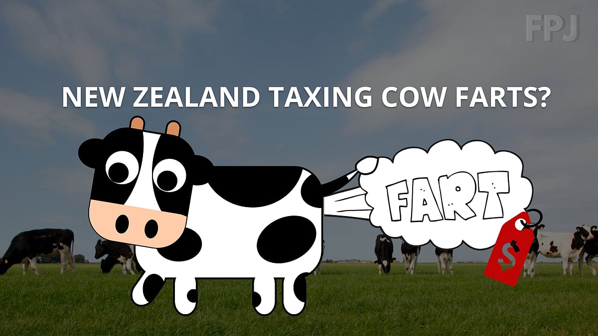 Why is New Zealand taxing cow farts and burps?