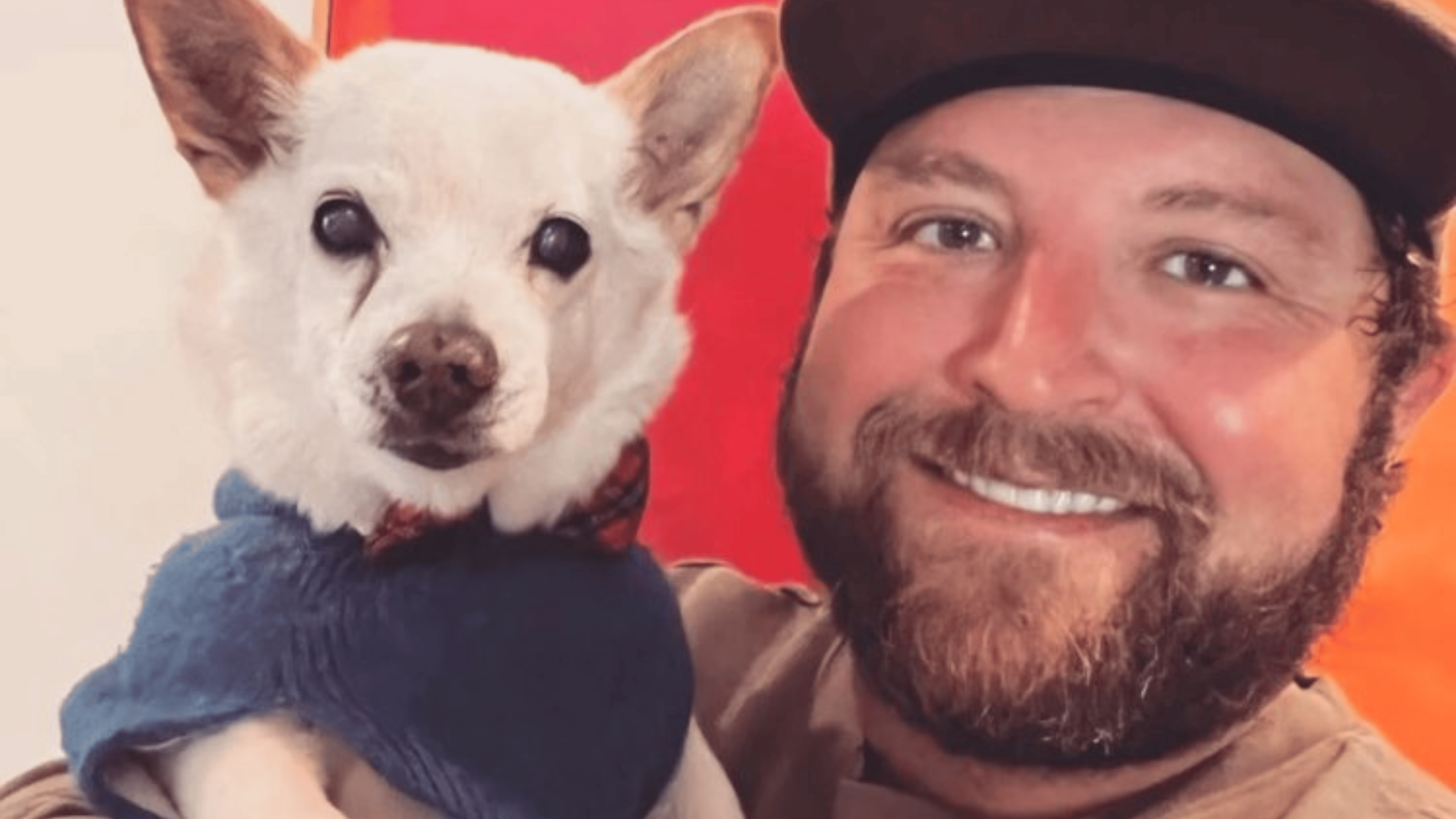 Guinness World Records: 22-year-old California dog identified as the ...