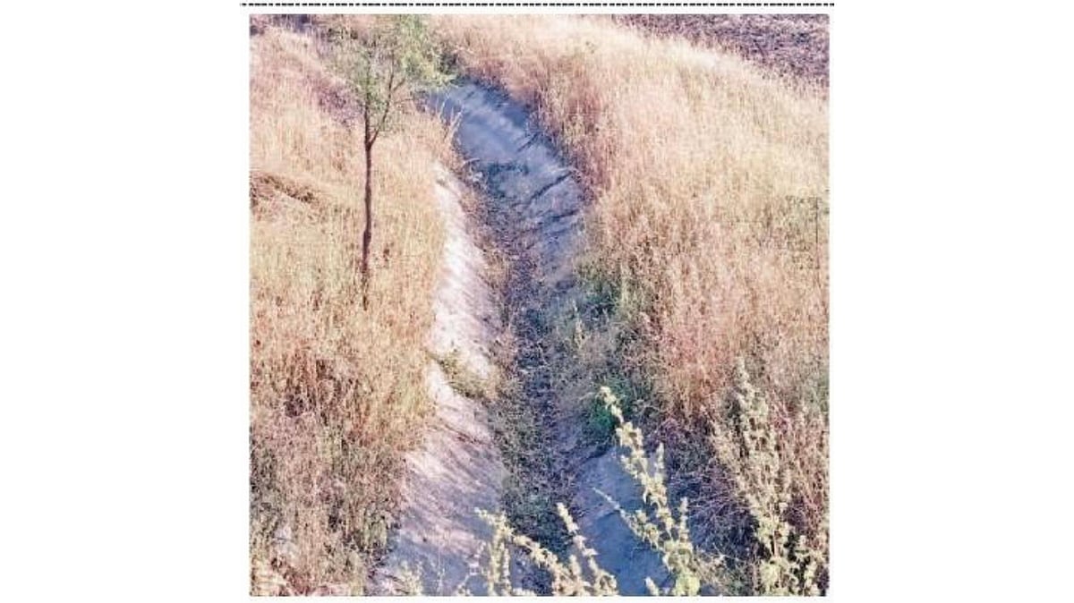 MP: Garbage clogs irrigation canals, delays sowing