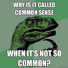 Use Your Common Sense Day 2022: Here are some hilarious memes you can ...