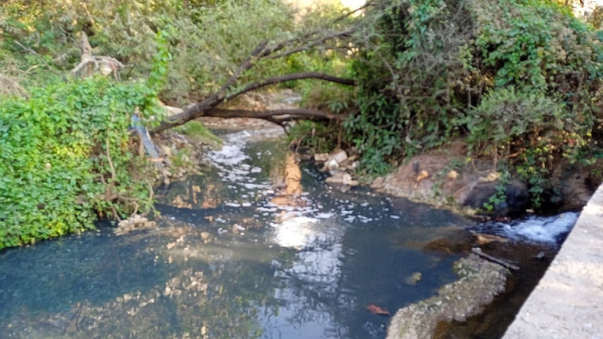 Maharashtra pollution control panel issues show-cause notice to Thane ...