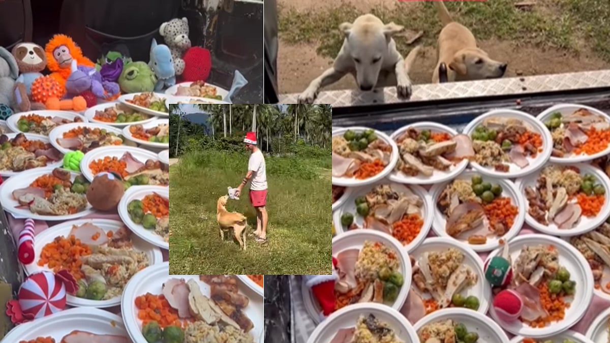 WATCH: Animal lover treats stray dogs with food feast, video goes viral