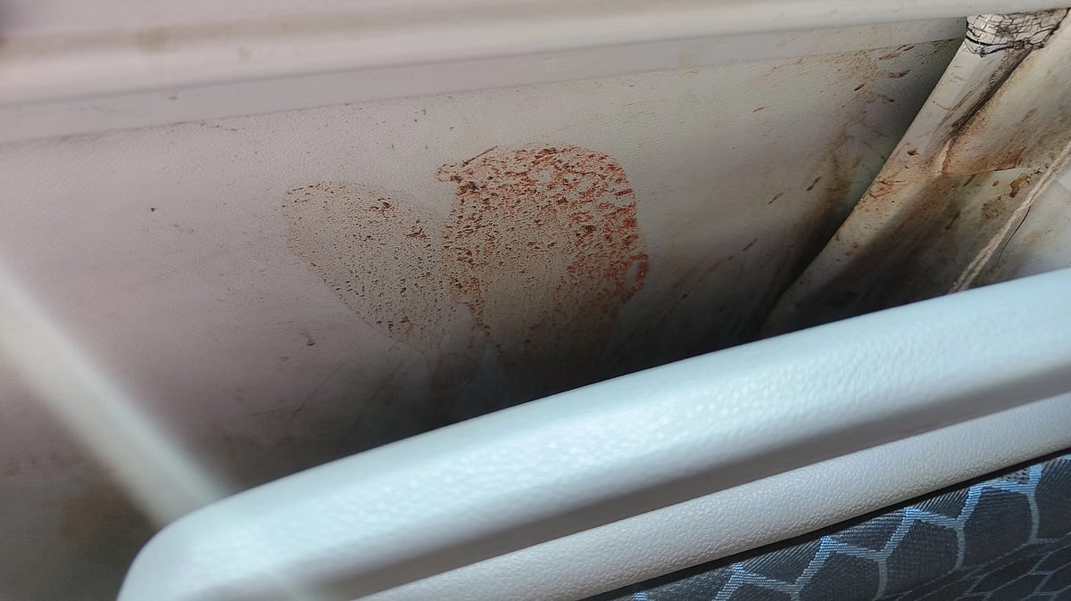 Mumbai: The menace of red stains from pan, gutka in BEST's AC buses