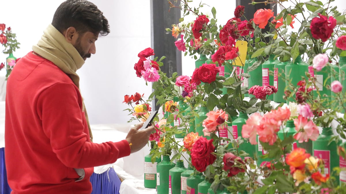 Indore: Over 270 rose varieties displayed in 3-day exhibition