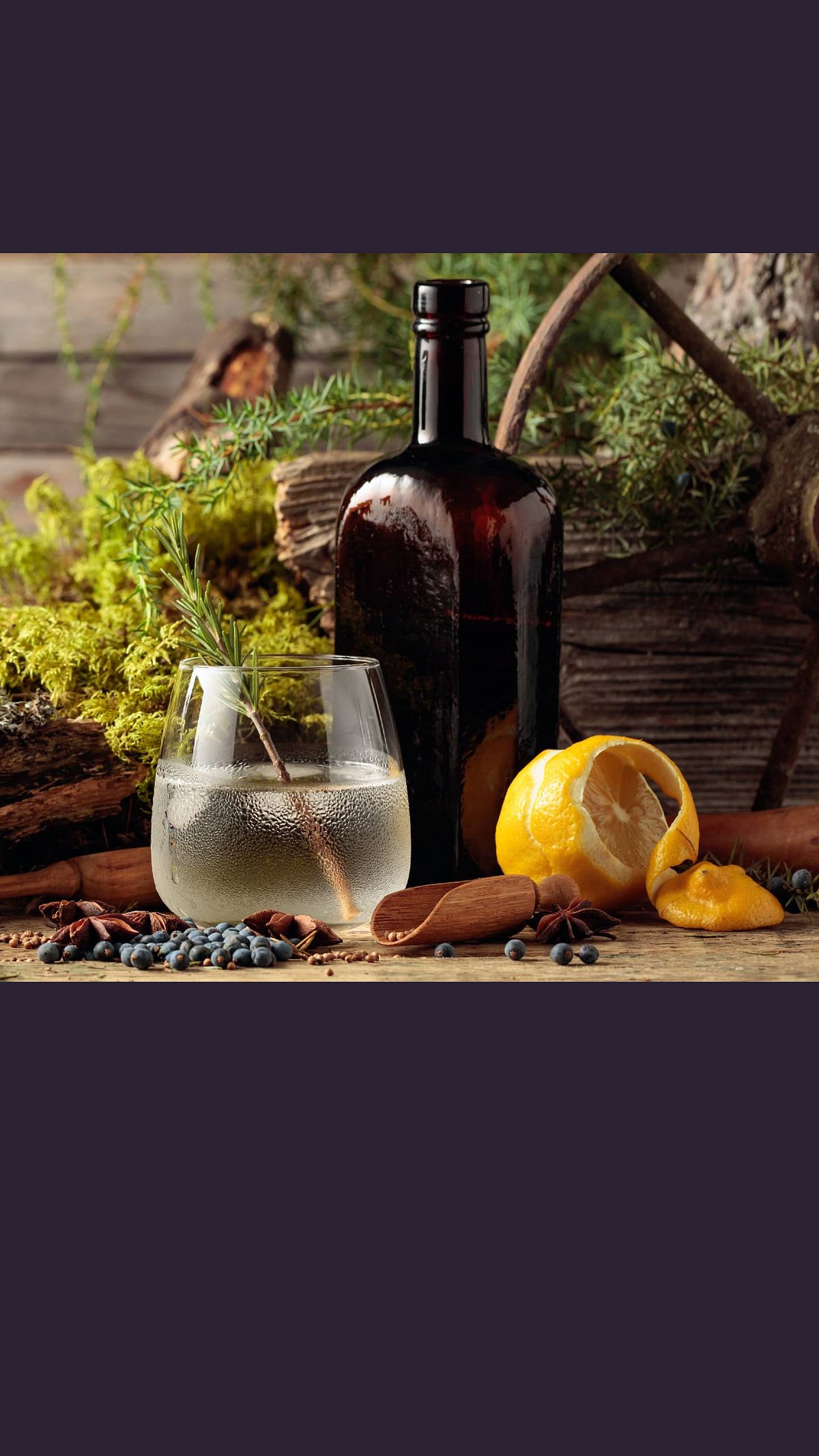 Ginuary month: All about gin types and cocktails