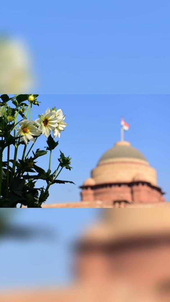 IN PICS: Delhi's 'Amrit Udyan' earlier known as Mughal Gardens