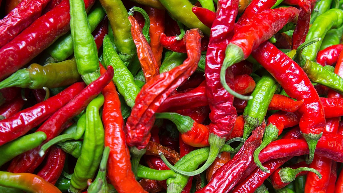 International Hot and Spicy Food Day: All about the chilli day