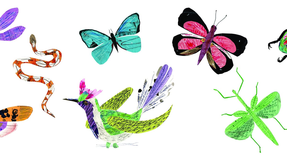 How illustrators use art to communicate scientific research