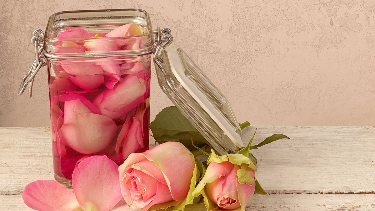 From hydration to after-shave, 7 Real Benefits of 'Rose Water' for your ...