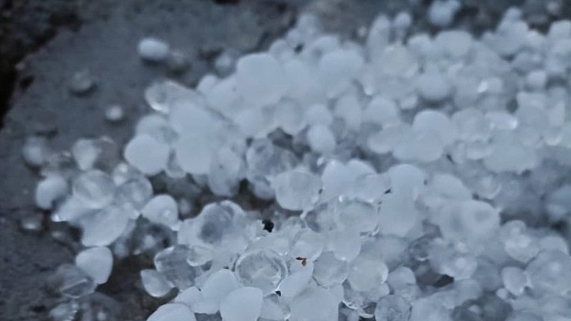 Rain, hail lash many places including Bhopal; damages crops