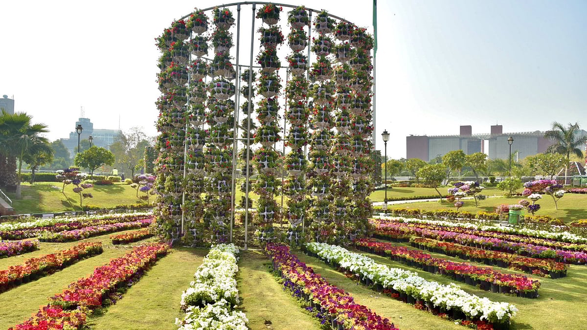 IN PICS: G20 Flower Festival's colourful display at New Delhi