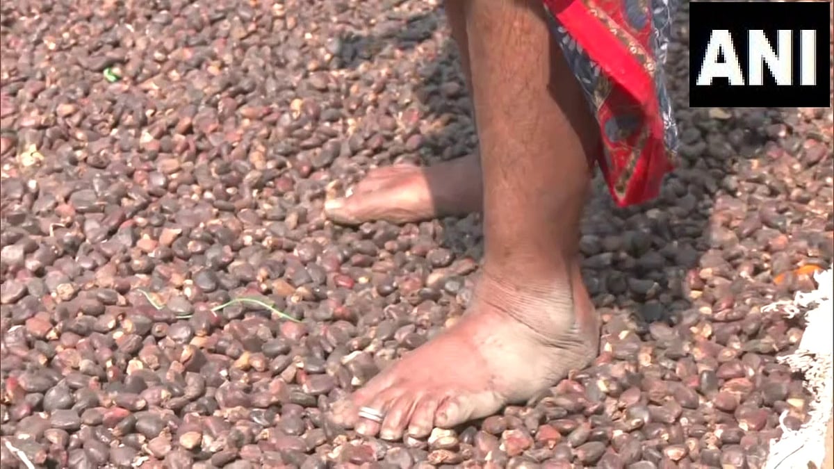 ‘No one wants to marry us’: Plight of Maharashtra women who bring us ...