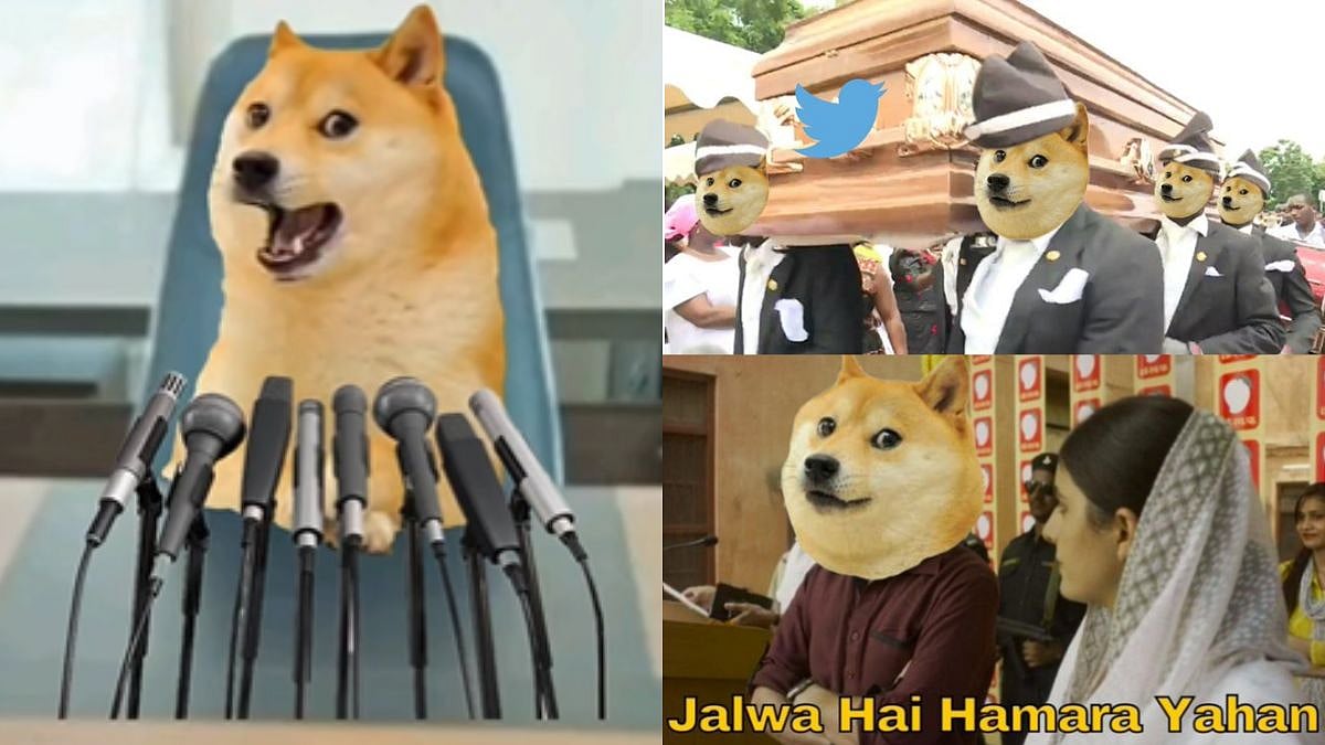 New Twitter Logo: Netizens trend social media with 'dog' videos & classic memes