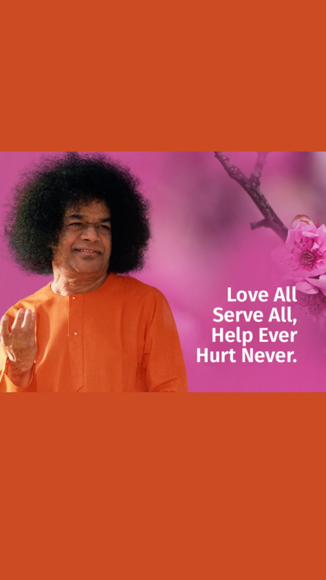 Sathya Sai Baba Indian Spiritual Figure
