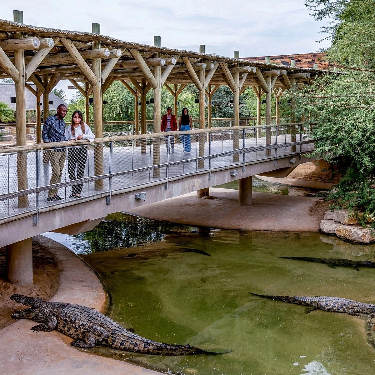 Dubai opens its first crocodile park; all you need to know about it