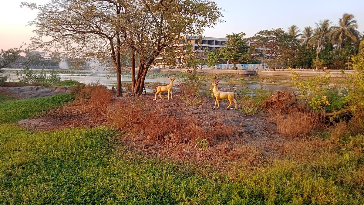 Panvel lake makeover ‘killing’ natural beauty, say environmentalists